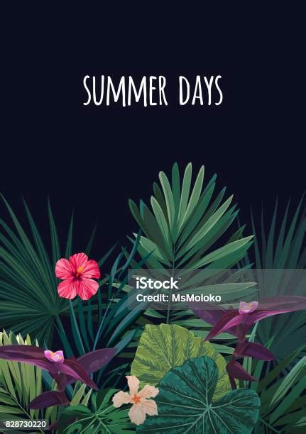 히 비 스커 스 꽃 몬스 테라 대왕 야자수와 꽃 수직 엽서 디자인 나뭇잎 이국적인 하와이 벡터 배경 어두운 색에 대한 스톡 벡터 아트 및 기타 이미지 Istock