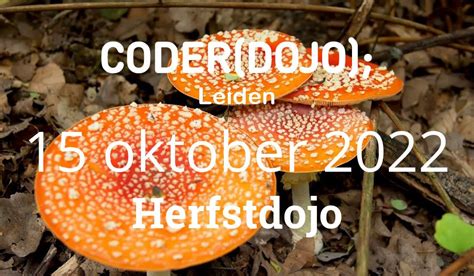 CoderDojo Leiden 90 Herfstdojo CoderDojo Leiden