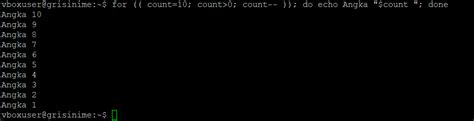 Perulangan For Dan Do While Di Linux