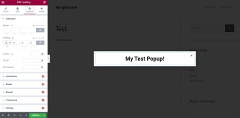Trigger A Popup With Text Link In Elementor Pro And Css Velvetmade