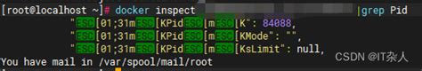 docker容器内与宿主机的进程id对应关系 容器pid和宿主机pid csdn博客