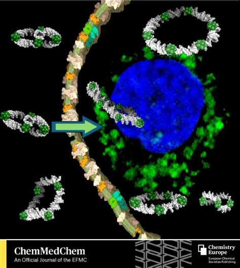 Chemmedchem Gianluca Sbardella
