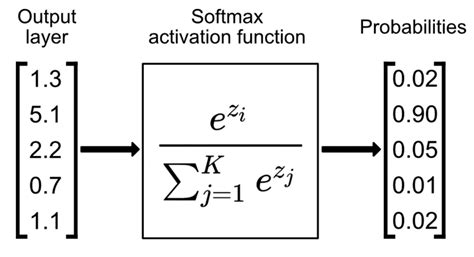 Learn How To Implement The Softmax Function In Python Dev Community