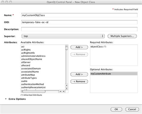 managing schema open identity platform documentation