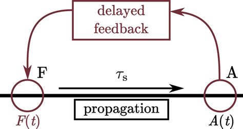 Schematic Of The Model With Nonlocal Delayed Feedback The Process A T Download Scientific