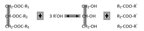 Transesterification Reaction Of Triglyceride To Biodiesel Download Scientific Diagram