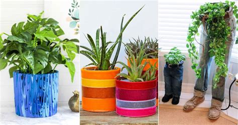 How To Make Diy Concrete Planters At Home