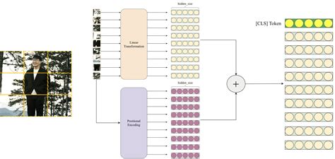 Step By Step Vision Transformer