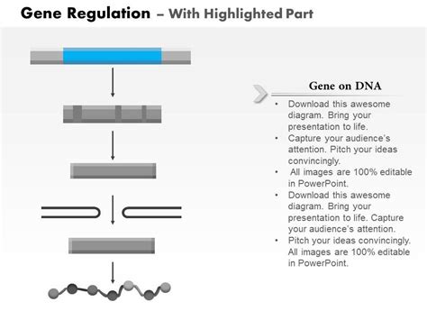 0914 Gene Regulation Medical Images For PowerPoint PowerPoint Presentation Sample Example Of