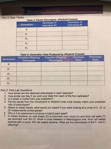 Part 3 Dihybrid Cross T Looking Remove Two Beads