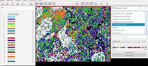 There And Back Again Qupath Cytomap Cluster Analysis Image Analysis Imagesc Forum