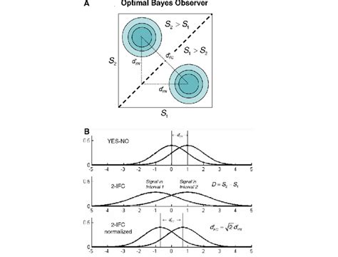 A A Hypothetical Activity Distribution For The Optimal Bayesian