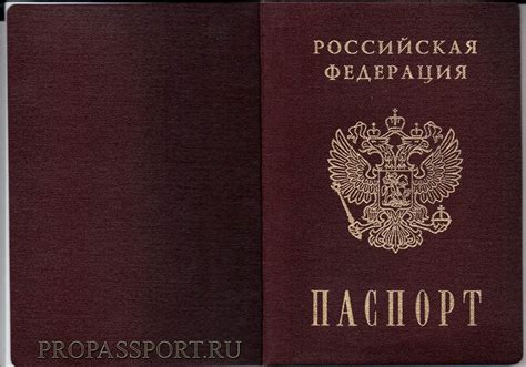 Как выглядит Общегражданский паспорт