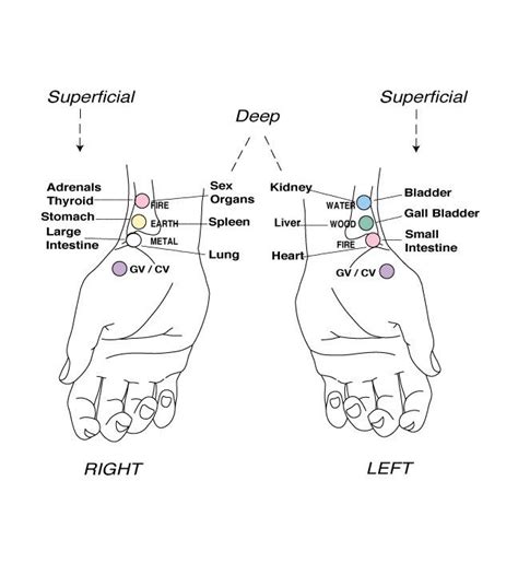 328 Best Acupressure Acupuncture Points Images On Pinterest Acupuncture Points Massage And