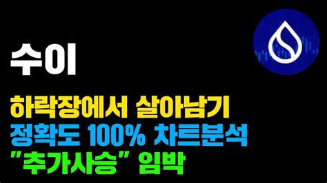 수이 긴급 하락장에서 살아남을수있는 급등코인 정확도 100 차트분석 코인시황 Youtube