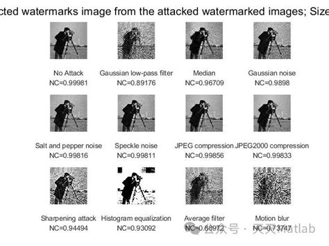 基于混合小波变换结合奇异分解dwt Hd Svd的数字图像水印带攻击（含psnr、ssim、nc指标）附matlab仿真 Csdn博客