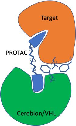 ICM User S Guide PROTAC Modeling
