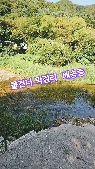 열일중인 울 서방님 막걸리 배송중임당 ㅎㅎ 소소한행복 농장생활 농부의일상 주말농장 Shorts Youtube