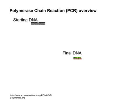 Sanger Sequencing PDF