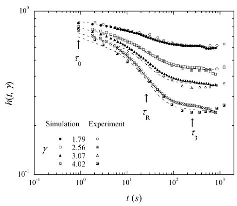 Time Dependent Damping Functions Obtained From Simulations And The Download Scientific Diagram