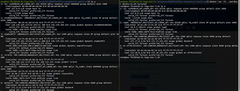 ubuntu 22 04 network mode host not mapping nics into container