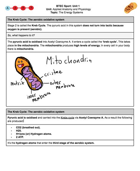 Energy Systems BTEC Sport Unit Teaching Resources