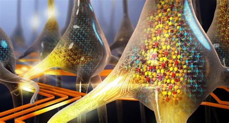 Crean Neuronas Artificiales Que Funcionan Como Las Del Cerebro