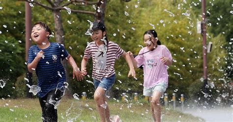 내일 날씨 체감기온 31도 이상 무더위가벼운 옷차림 필수