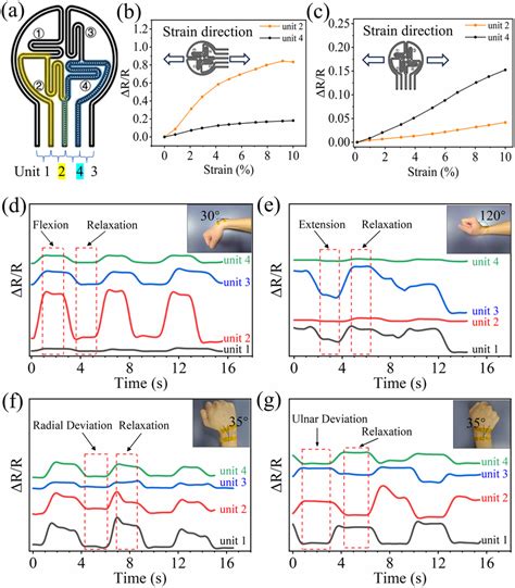 A Schematic Diagram Of The Flexible Strain Sensor Electrodes