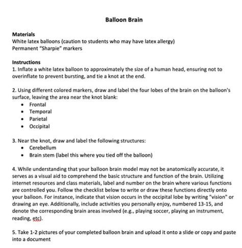 Balloon Brain Model Lab By Health Science And Anatomy Classroom Tpt