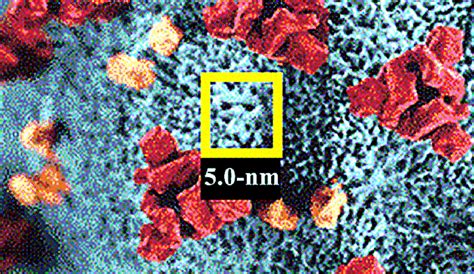 The Rcsb Pdp Data Protein Bank For The Biological Macromolecular Download Scientific Diagram
