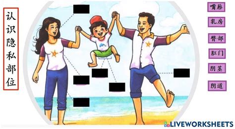 三年级健康教育：身体的小秘密 Online Exercise For Live Worksheets