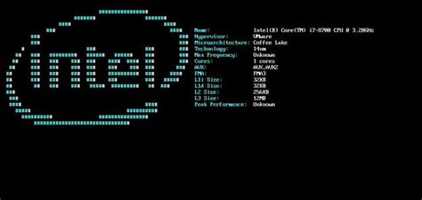 Cpufetch一款功能强大的CPU架构信息爬取工具 知乎