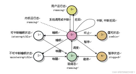 【c服务器入门基础 2进程管理】c 进程管理写代码有打本香？的博客 Csdn博客