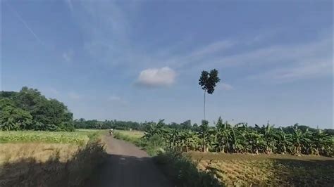 Grammo Poribesh Bongovillagerider Youtube