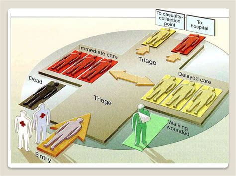 Triage In Disaster Management Pptx First Aid Injuries