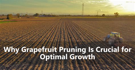 The Role Of Land Leveling In Sustainable Agriculture Agnote