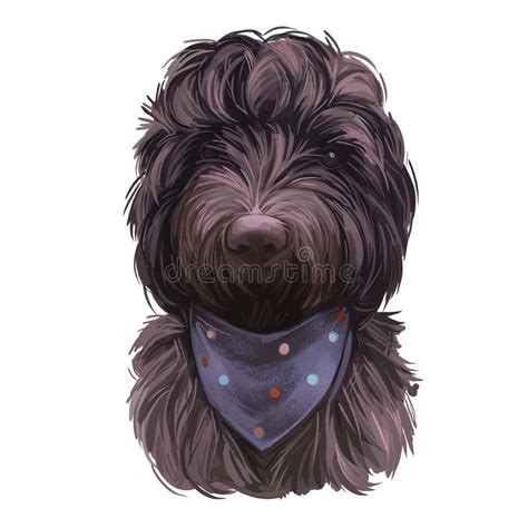 Cockapoo Black Dog Digital Art Illustration Of Cute Canine Animal