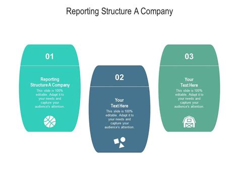 Reporting Structure A Company Ppt Powerpoint Presentation Pictures Graphics Cpb Presentation