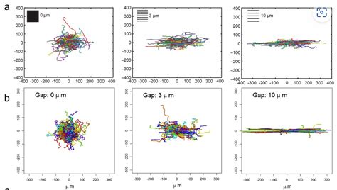 Plotting Trajectory Graph Using Trackmate Spot Result Image Analysis