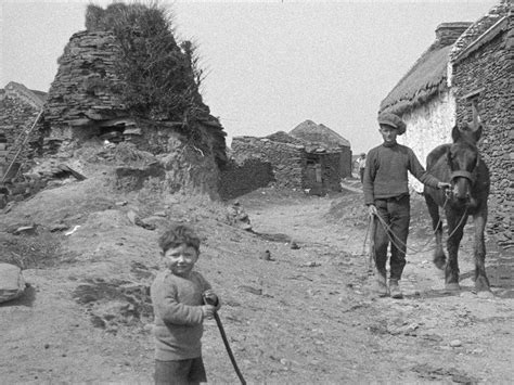 The Gault Collection San Francisco Film Preserve