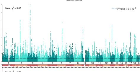 Essential Guide To Fumigation Certificates Everything You Need To Know ⇢