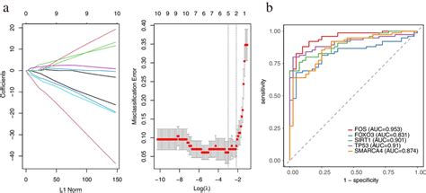 A The Five Feature Factors Were Screened By Binomial Analysis To Download Scientific Diagram