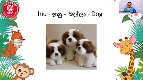 ආ මග කෙටියි යා යුතු මග දුරයි දින 8ක් එහෙමත් නැත්නම් පුරා මාස දෙකක් තිස්සේ ආසාවෙන් ජපන්
