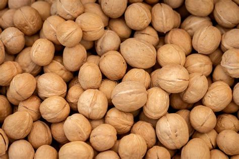 Large Group Of Wallnut Fruit Background Background Of Fresh Walnuts