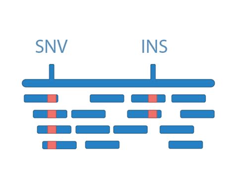 Small Variant Analysis