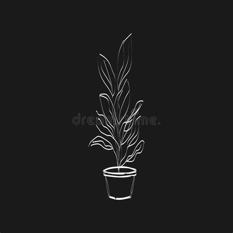Ficus Flower Plant In The Pot Stock Vector Illustration Of Sketch Nature 254462542
