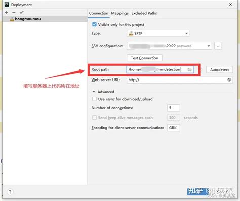 pycharm配专业版配置调试远程服务器代码 猴子吃桃 Q 博客园