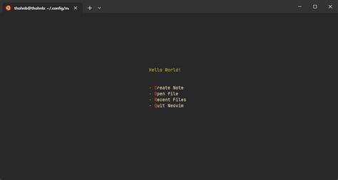 Ministarter Is Amazing Rneovim