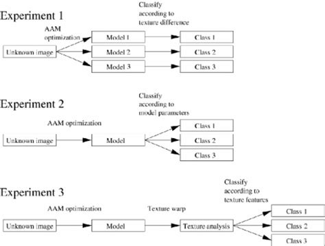 Schematic Representation Of The Three Experiments Download